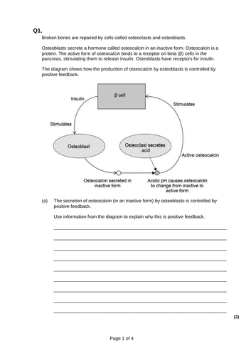 3.6.4.1 L2 Feedback mechanisms (AQA A-level Biology) | Teaching Resources