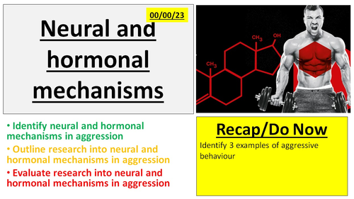 Neural and hormonal mechanisms in aggression - AQA A Level Psychology ...