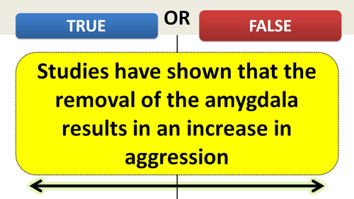 Neural and hormonal mechanisms in aggression - AQA A Level Psychology ...