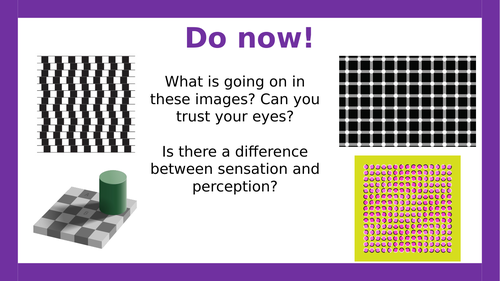 AQA GCSE Psychology: Sensation and Perception. (Lesson 1 of Perception ...