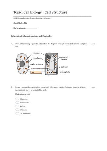 Gcse Igcse Biology Cell Biology 40 Revision Questions And Answers [2023] Teaching Resources
