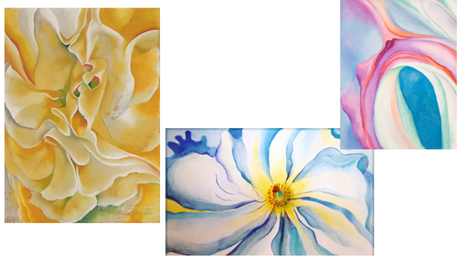 KS3 Natural forms project | Teaching Resources