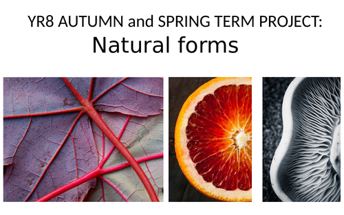 KS3 Natural forms project | Teaching Resources