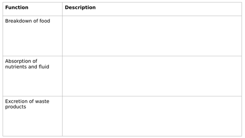 Unit 13: Nutrition lessons & resources | Teaching Resources
