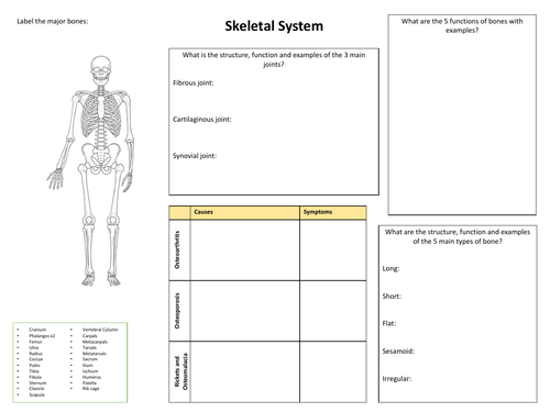BTEC L3 Health and Social Care - Unit 3 Anatomy and Physiology Knowledge Organisers | Teaching ...