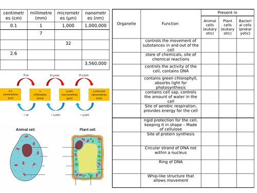 AQA B1 Cells and exchange revision lesson | Teaching Resources