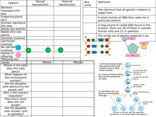 Aqa B6 Sex And Inheritance Revision Lesson Teaching Resources
