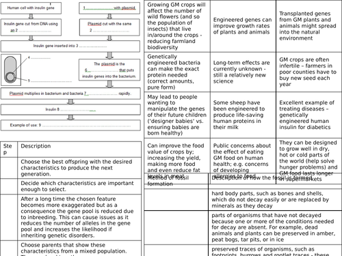 Aqa B6 Sex And Inheritance Revision Lesson Teaching Resources