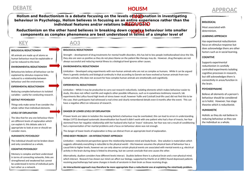 Issues and Debates A3 revision sheets including essay plans AQA ...