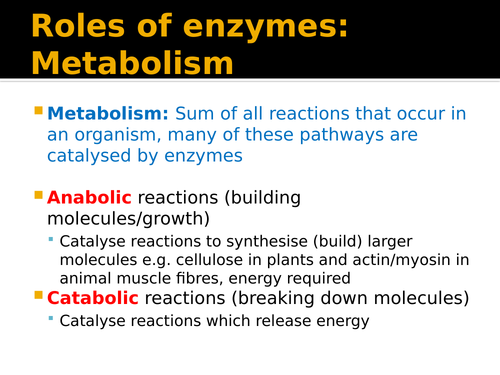 Enzymes topic for OCR A level. MODULE 2: FOUNDATIONS IN BIOLOGY ... Enzymes topic for OCR A level. MODULE 2: FOUNDATIONS IN BIOLOGY ...