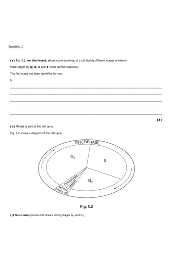 Cell Division topic for OCR A level. MODULE 2: FOUNDATIONS IN BIOLOGY ...