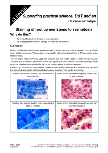 Cell Division topic for OCR A level. MODULE 2: FOUNDATIONS IN BIOLOGY ...