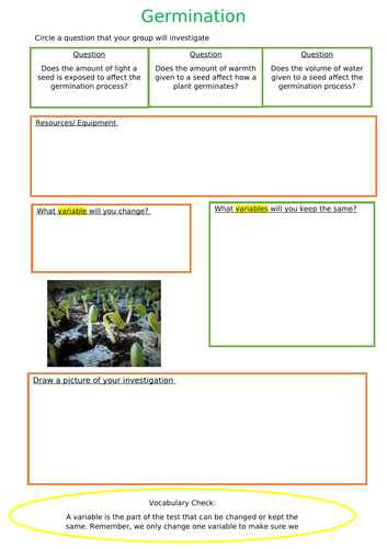 Year 5 Germination Investigation | Teaching Resources