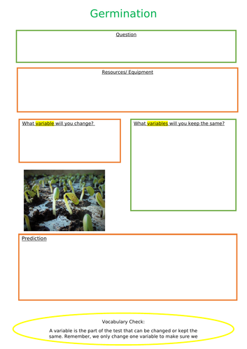 Year 5 Germination Investigation | Teaching Resources