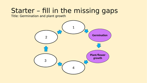 Plant reproduction (whole topic) - KS3 science | Teaching Resources