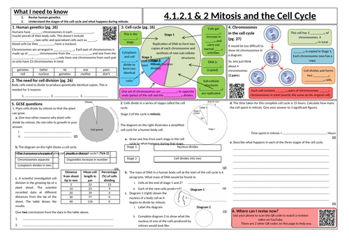 Mitosis and the cell cycle | Teaching Resources