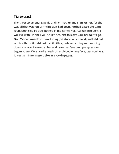 IB Lit Paper 2 - Wide Sargasso Sea | Teaching Resources