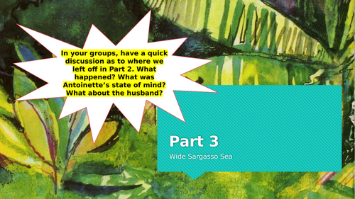 IB Lit Paper 2 - Wide Sargasso Sea | Teaching Resources