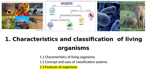 IGCSE Biology -Topic 1- Characteristics and classification of living ...