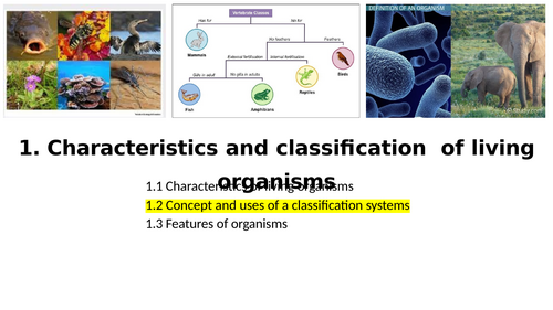 IGCSE Biology -Topic 1- Characteristics and classification of living ...