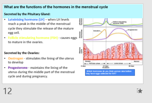 Puberty & Menstrual Cycle, KS4 | Teaching Resources Puberty & Menstrual Cycle, KS4 | Teaching Resources