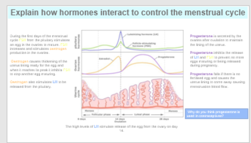 Puberty & Menstrual Cycle, KS4 | Teaching Resources Puberty & Menstrual Cycle, KS4 | Teaching Resources