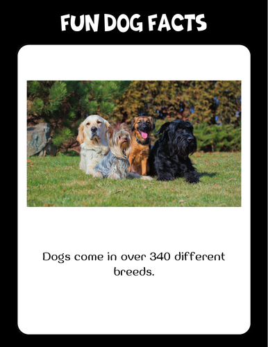 20 Fun Dog facts for kids.printable Cards | Teaching Resources
