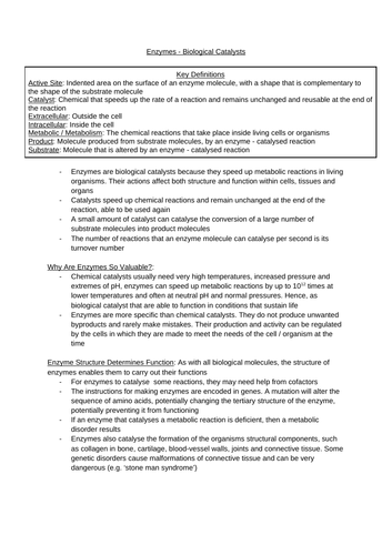 A* A-level OCR Bio Enzyme Notes | Teaching Resources