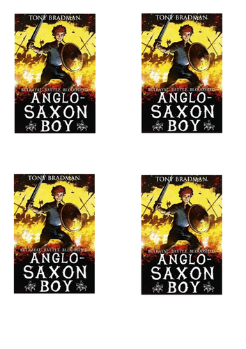 Anglo Saxon Boy reading comprehension unit of work | Teaching Resources