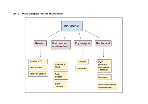 WJEC Criminology Unit 2 AC 2.1 Biological Theories Slides and Booklet ...