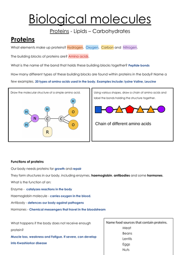 Biological Molecules Worksheet, IGCSE Biology | Teaching Resources