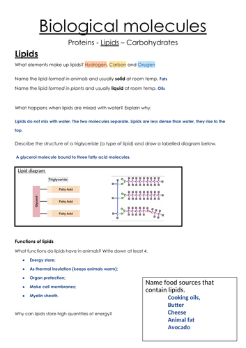 Biological Molecules Worksheet, IGCSE Biology | Teaching Resources