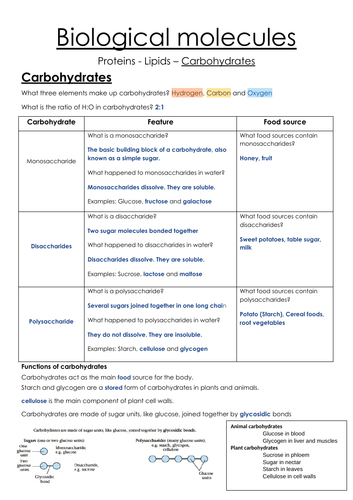 Biological Molecules Worksheet, IGCSE Biology | Teaching Resources