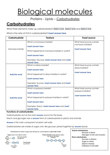 Biological Molecules Worksheet, IGCSE Biology | Teaching Resources