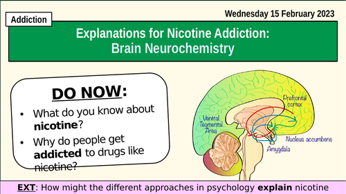 A-Level Psychology - BRAIN NEUROCHEMISTRY AS AN EXPLANATION FOR ...