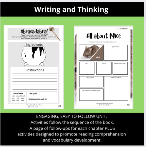 THE WITCHES by Roald Dahl NOVEL STUDY and Reading Comprehension ...