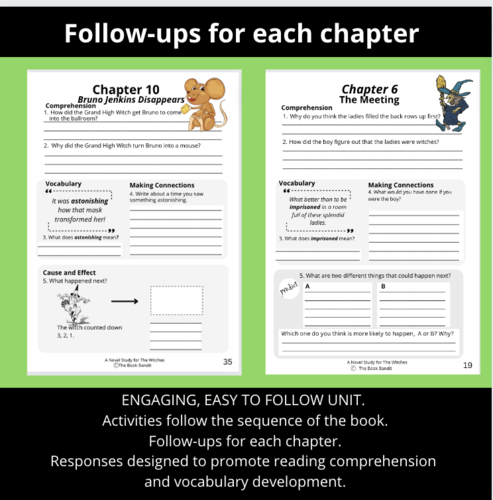 THE WITCHES by Roald Dahl NOVEL STUDY and Reading Comprehension ...