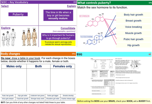 Puberty - KS3 - Year 7 | Teaching Resources