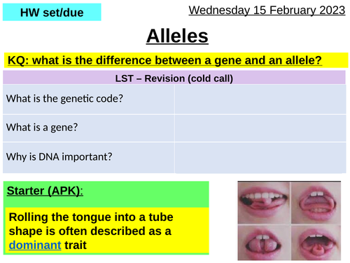 SB3 / CB3 - Alleles | Teaching Resources