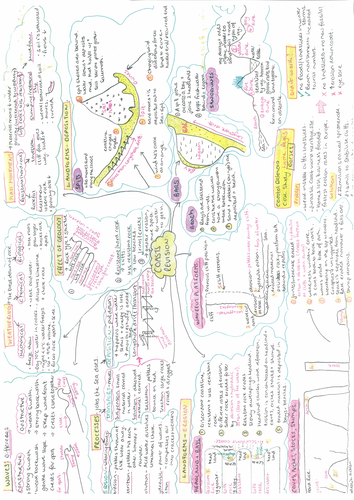 AQA GCSE Coasts revision revision notes/mindmap. | Teaching Resources AQA GCSE Coasts revision revision notes/mindmap. | Teaching Resources