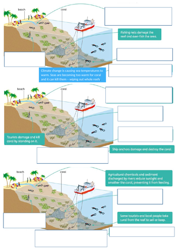 KS3 Geography: Coral Reef Lesson. Observation quality! Oceans, seas and ...