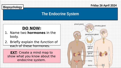 A-Level Psychology - THE ENDOCRINE SYSTEM [Biopsychology Topic ...