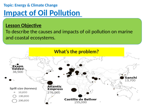 Imapcts of Oil Pollution | Teaching Resources