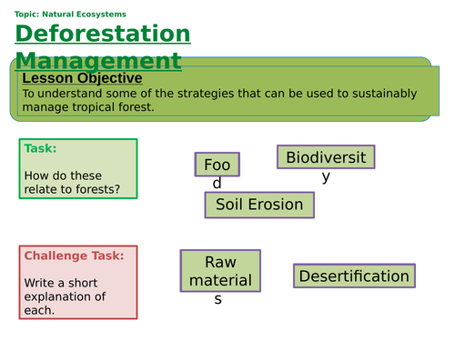 Managing our Forests KS4 | Teaching Resources