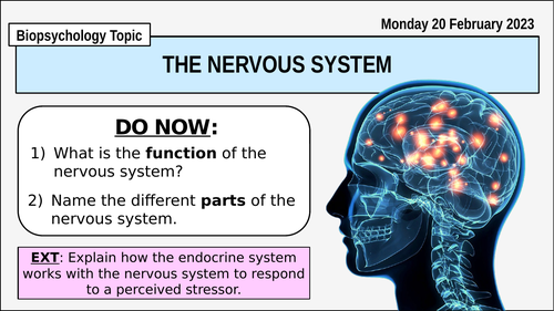 A-Level Psychology - THE NERVOUS SYSTEM [Biopsychology Topic ...