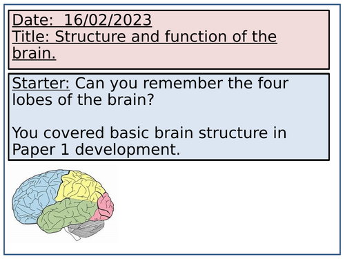 AQA GCSE Psychology - Brain structure and Penfield | Teaching Resources