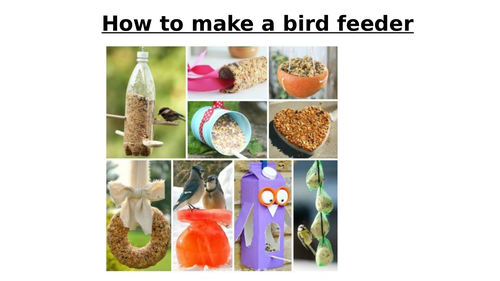 TWS The Write Stuff - How to make a bird feeder - instructions lesson ...