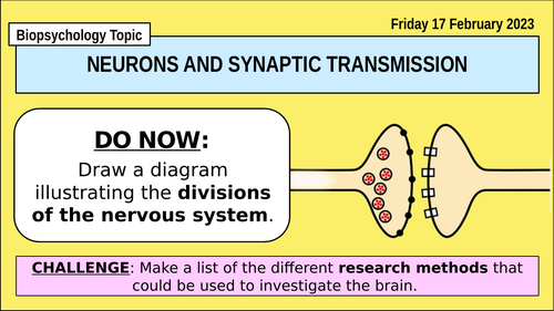A-Level Psychology - NEURONS AND SYNAPTIC TRANSMISSION [Biopsychology Topic] | Teaching Resources