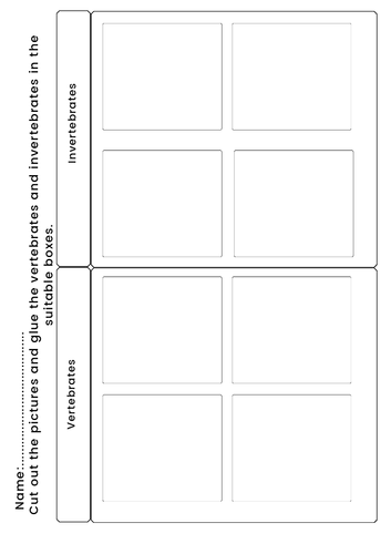 Vertebrates and Invertebrates Worksheet Bundle | Teaching Resources