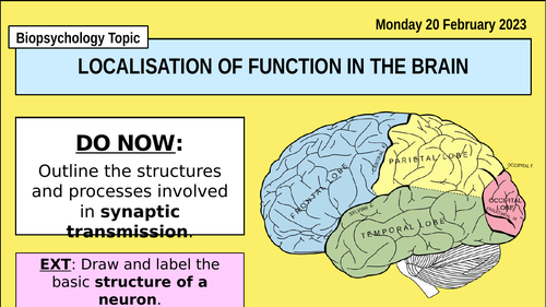 A-Level Psychology - LOCALISATION OF FUNCTION IN THE BRAIN ...